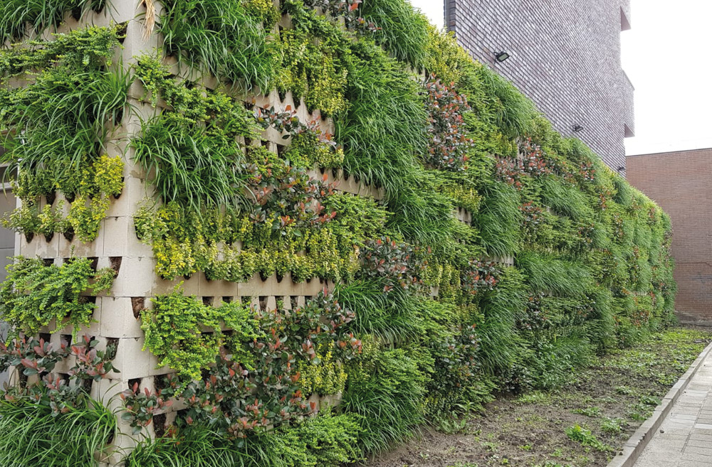 Verticale tuin | Groene gevel | Onafhankelijke groothandel | Showroom