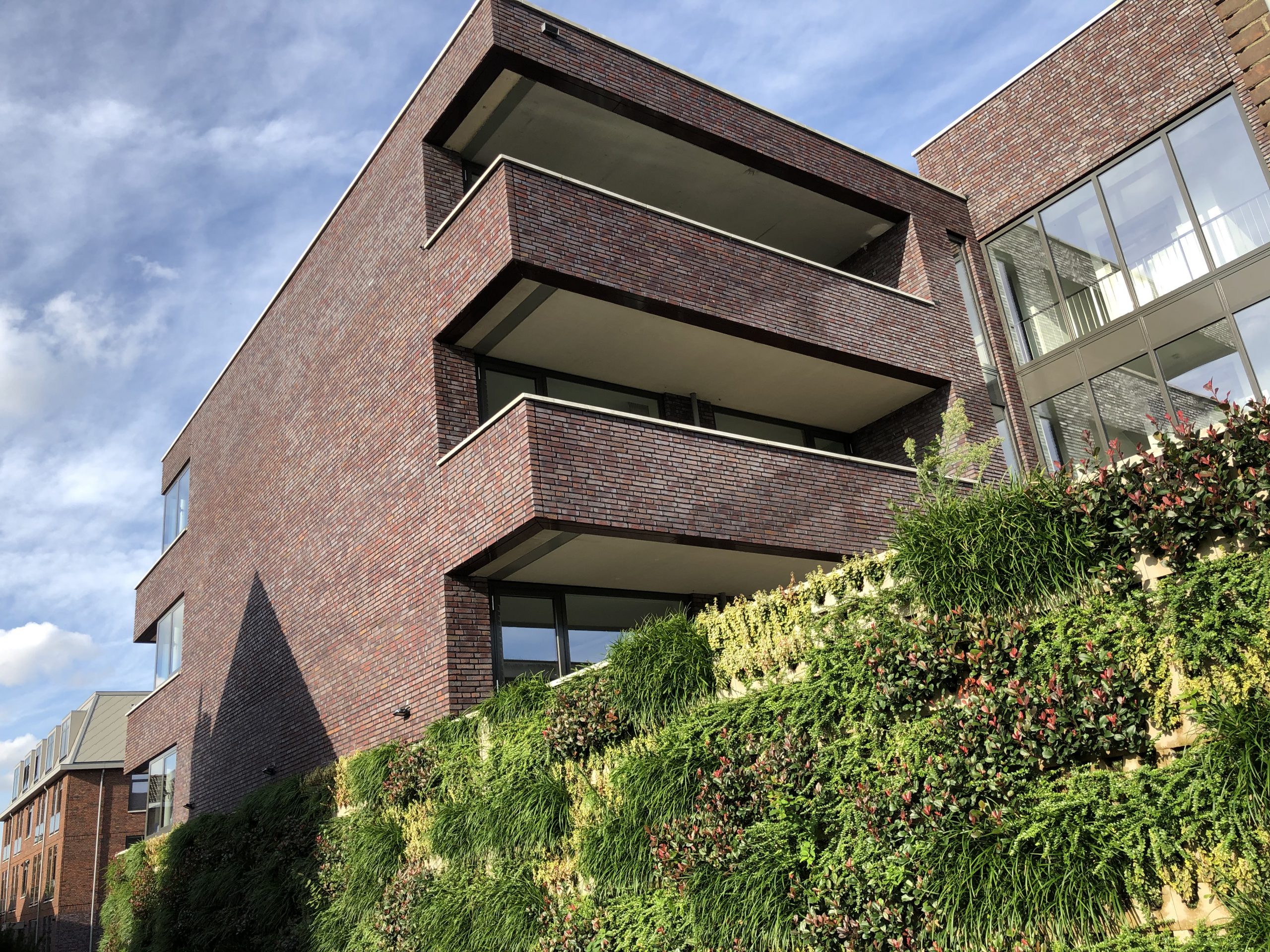 Verticale tuin | Groene gevel | Onafhankelijke groothandel | Showroom