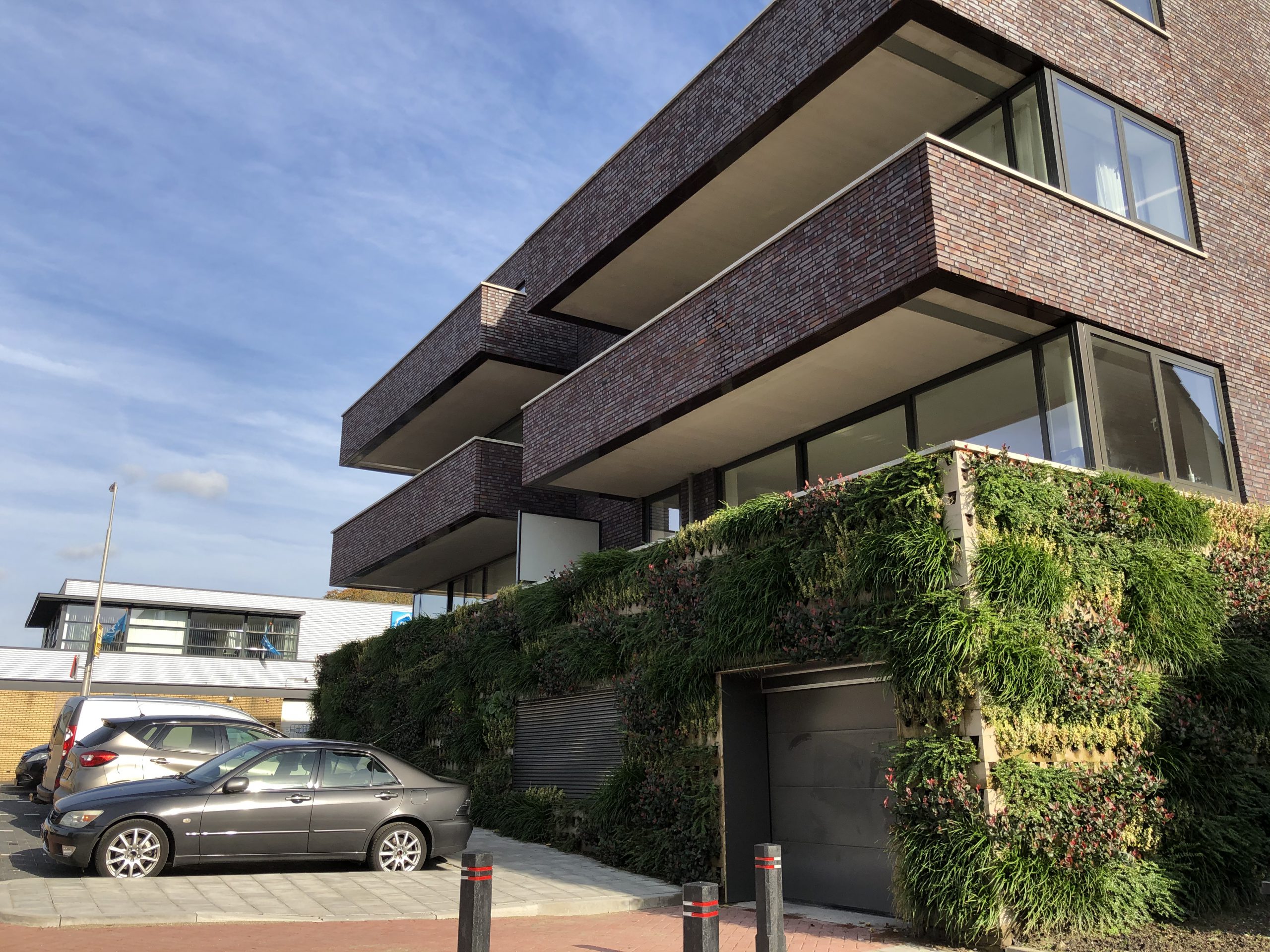 Verticale tuin | Groene gevel | Onafhankelijke groothandel | Showroom